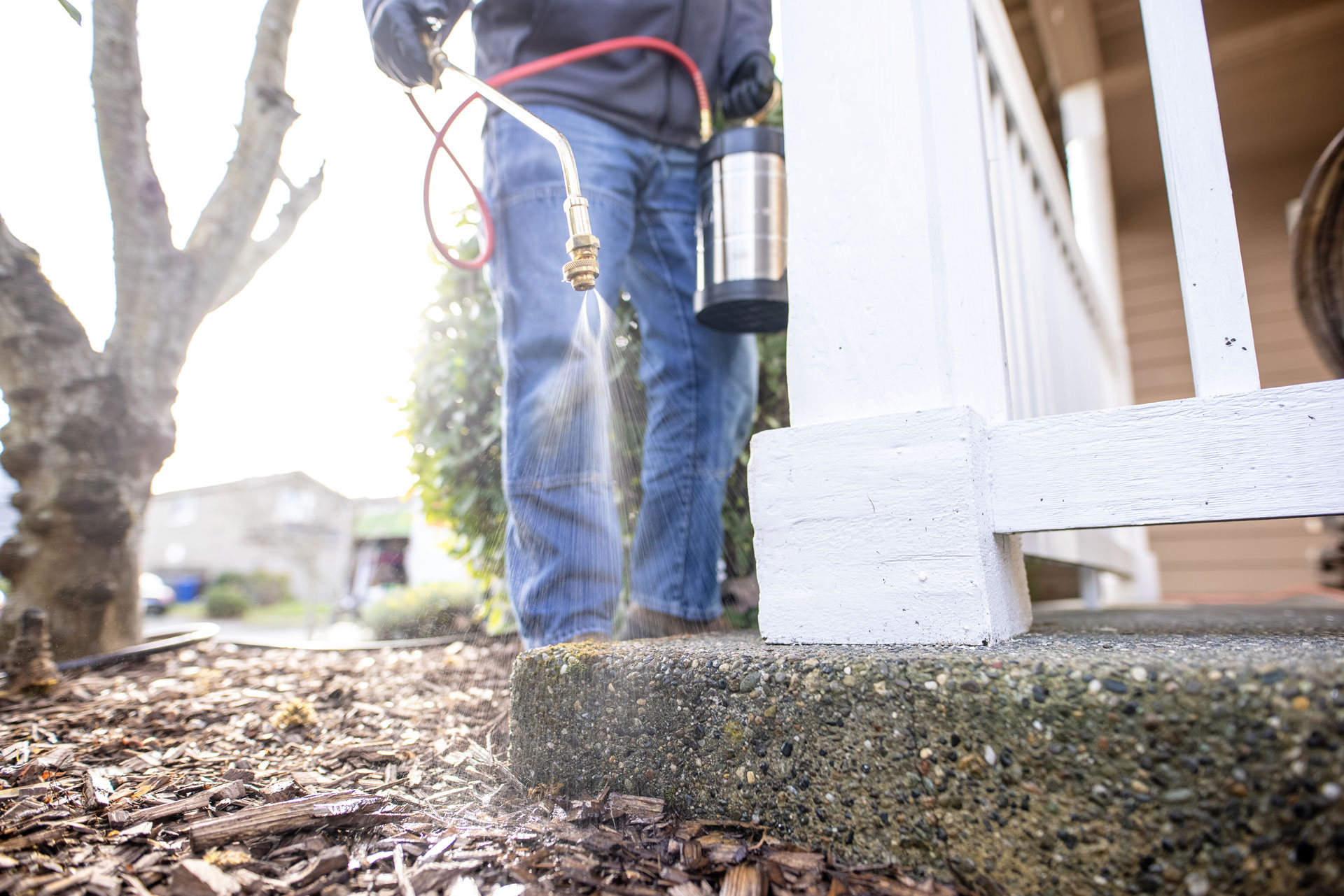 Pest Spraying Services | Pest Pros