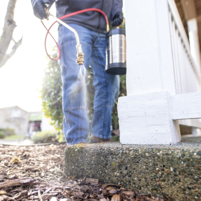Pest Spraying Services | Pest Pros